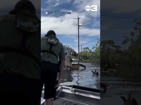 Teen Rescued by Hillsborough Co Sheriff's Office Team while floati ...